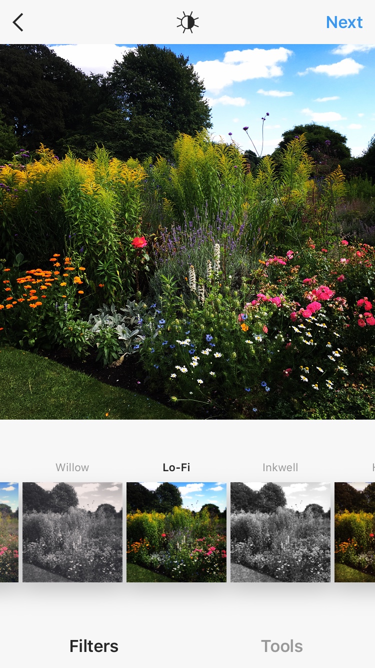 Popular Instagram Filters To Attract New Followers | Hopper